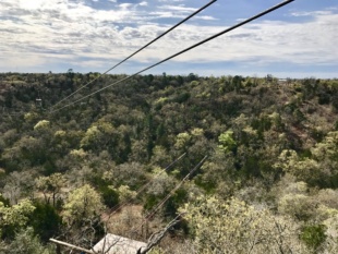 Newest Zip Line Experience in Austin: Zip Lost Pines in Bastrop, Texas ...