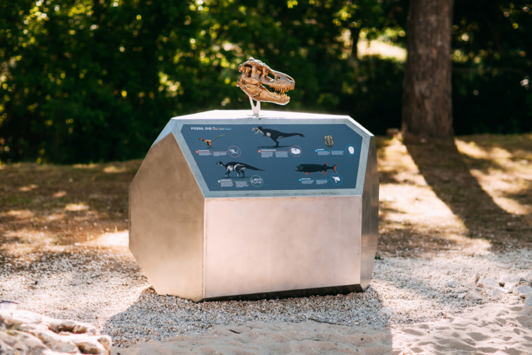 5 New Reasons to Visit the Science Mill | Johnson City, TX - R We There ...