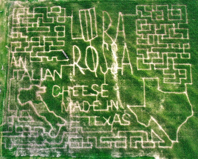 Top 6 Texas Corn Mazes | Pumpkin Patches in Texas